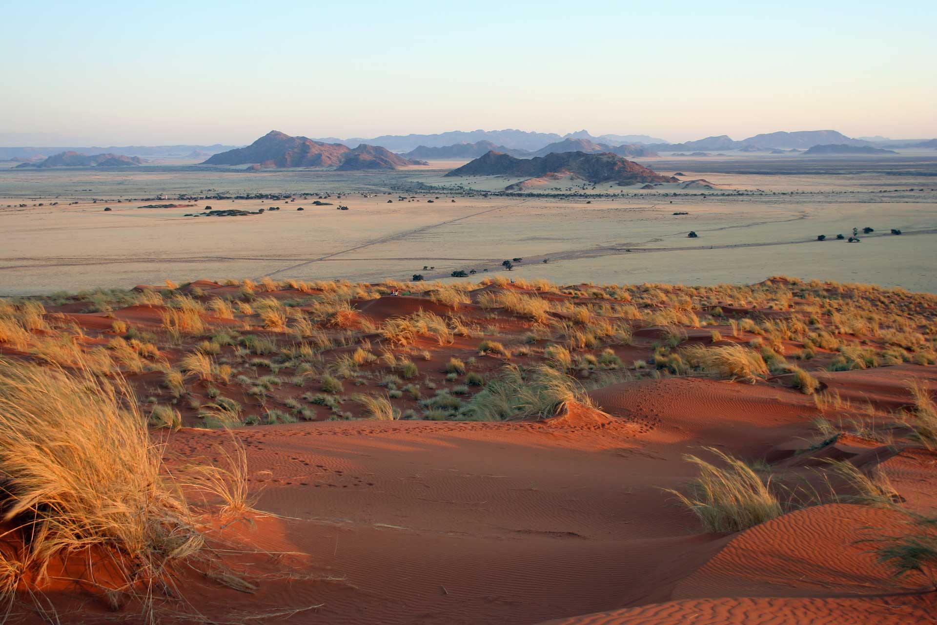 Endpoint for Resized Images · Issue #2 · stevetemple/Image-Resizer-Azure-Function · GitHub